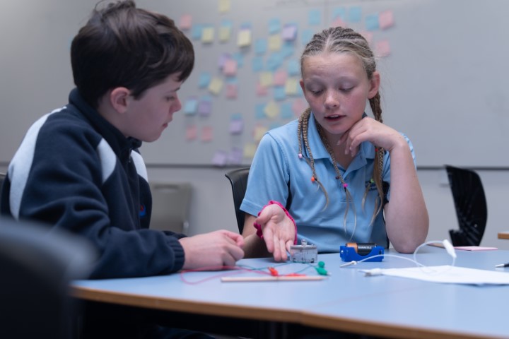 Lesson 1 • Blackouts | Primary Connections